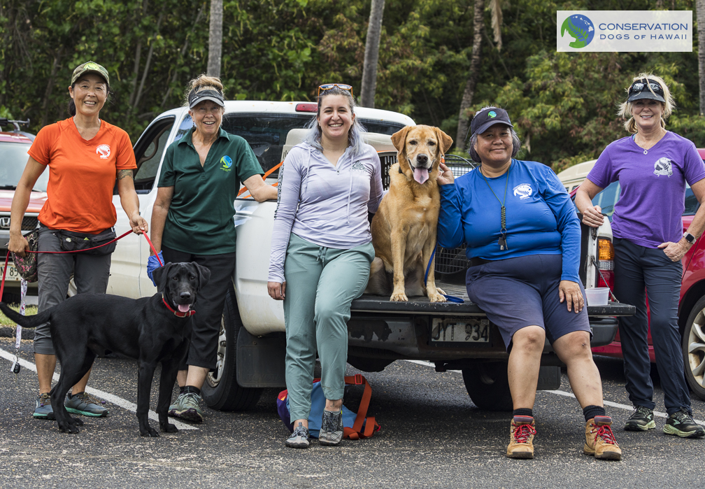 VOLUNTEER – CONSERVATION DOGS OF HAWAII
